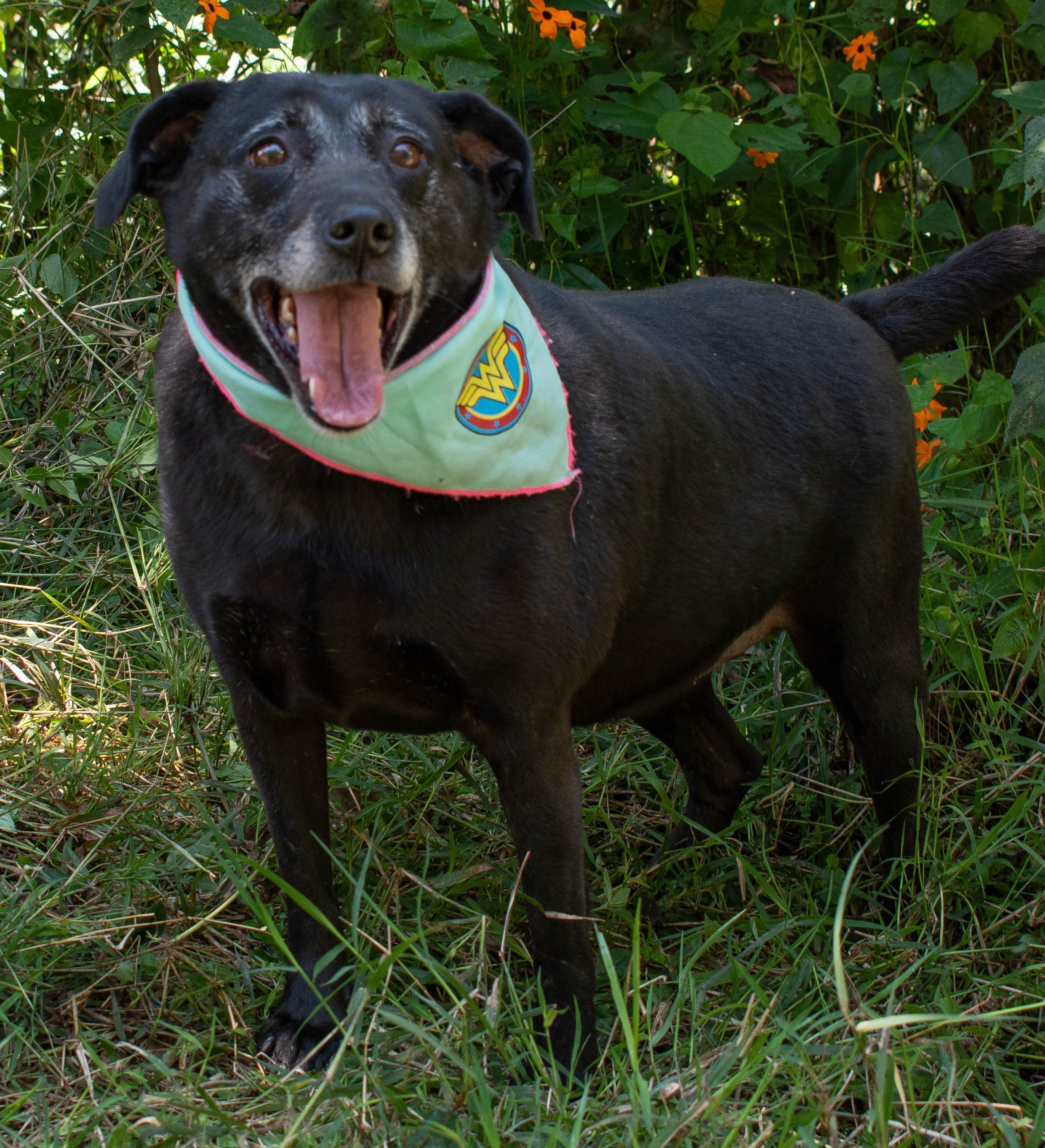 TOÑA – Hogar de Alicia